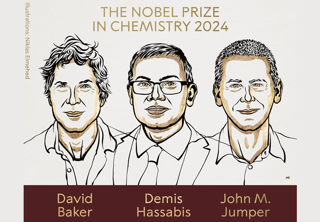 2024 Nobel Prize in Chemistry: Breakthroughs in Protein Engineering ...