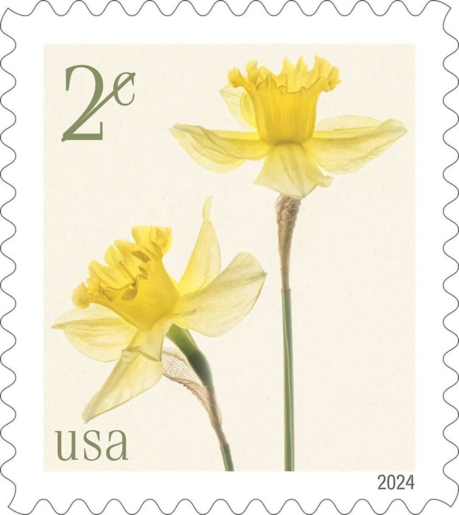 Celebrate Nature with the New USPS Flower Stamps – CitiTimes